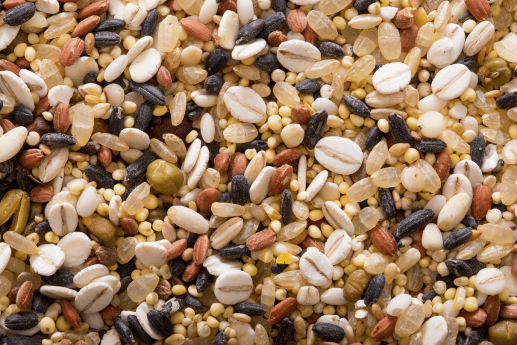 Beyond Couscous: Exploring The Diversity Of Moroccan Grains